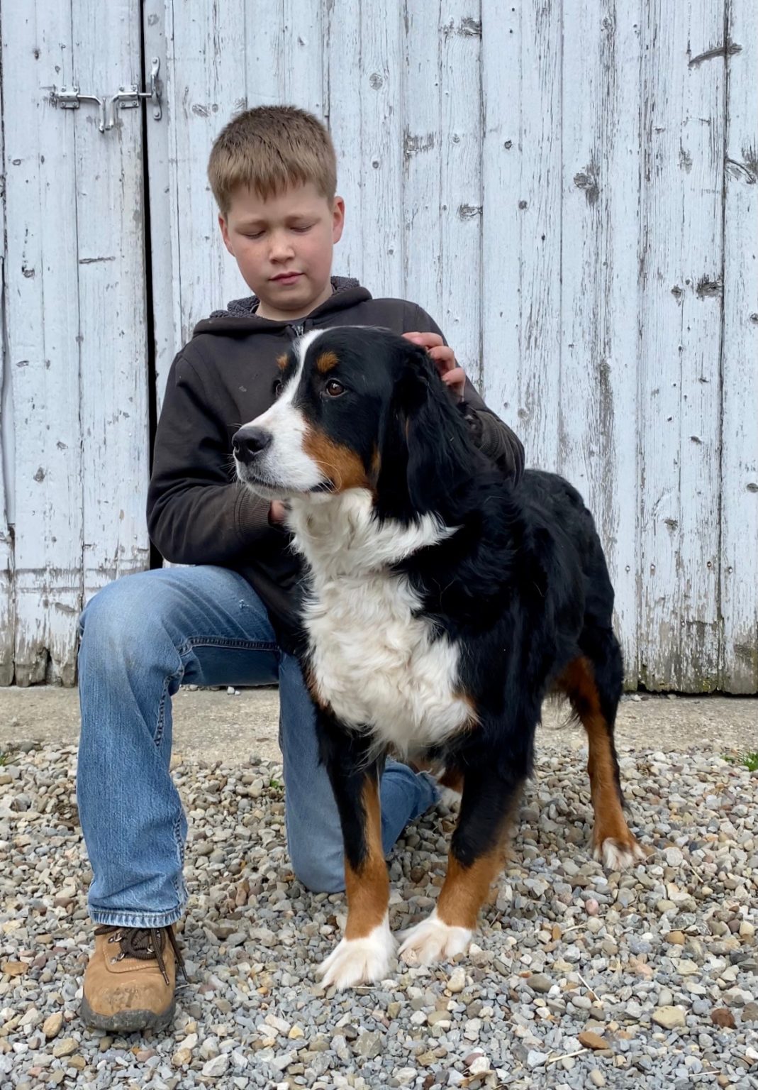 The Bernedoodles | The Cutest Mini Bernedoodle Puppies